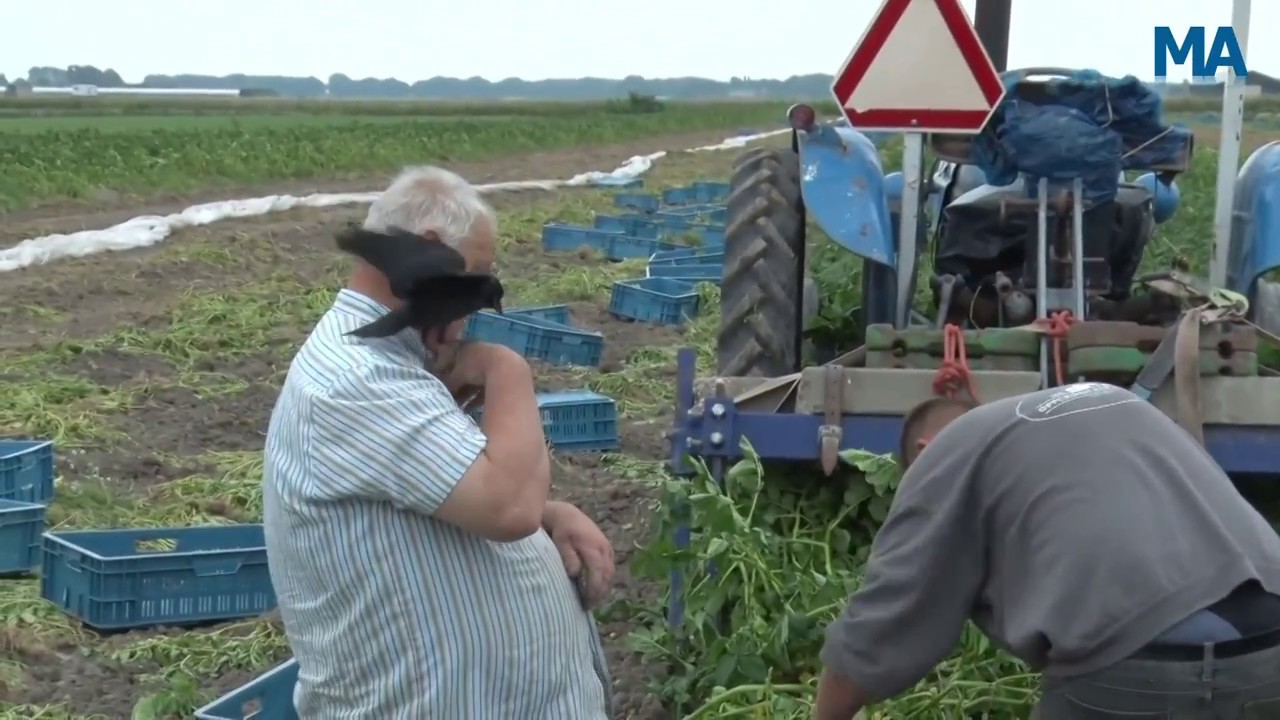 Reportage: Hero 'Power to the Pieper' Stam vooral ambassadeur van de ...