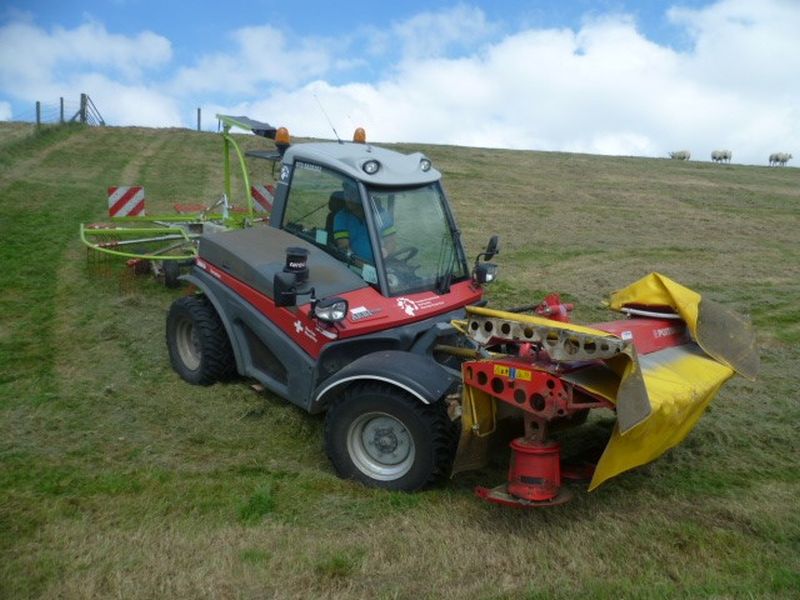 Hoogheemraadschap gaat maaien met nog meer aandacht voor biodiversiteit ...