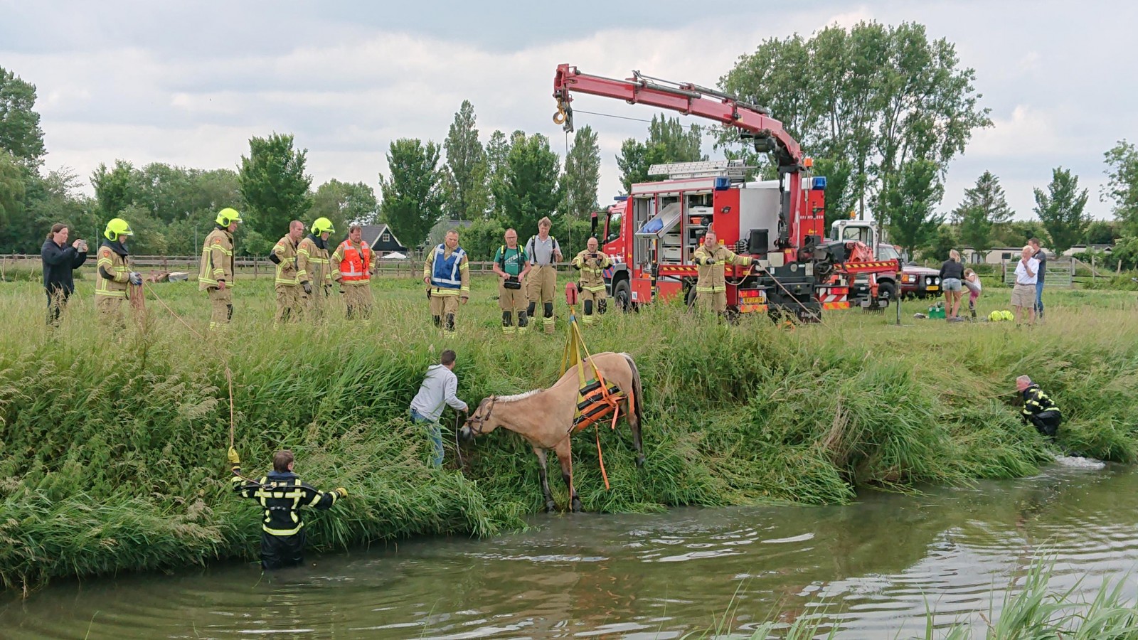 Brandweer Andijk redt paard uit sloot Andijk - Medemblik Actueel