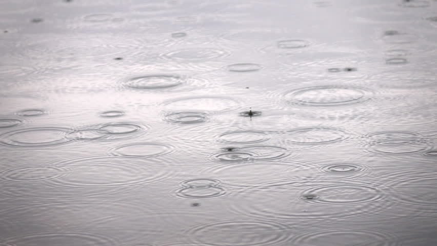Weerbericht Medemblik: in de avond kans op regen - Medemblik Actueel