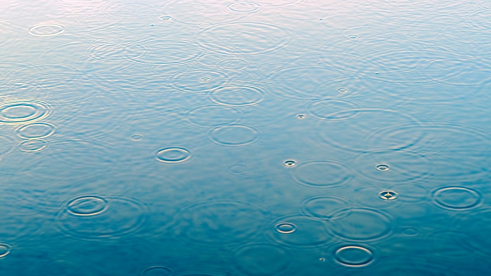 Weerbericht Medemblik: buien en kans op (zware) windstoten - Medemblik Actueel